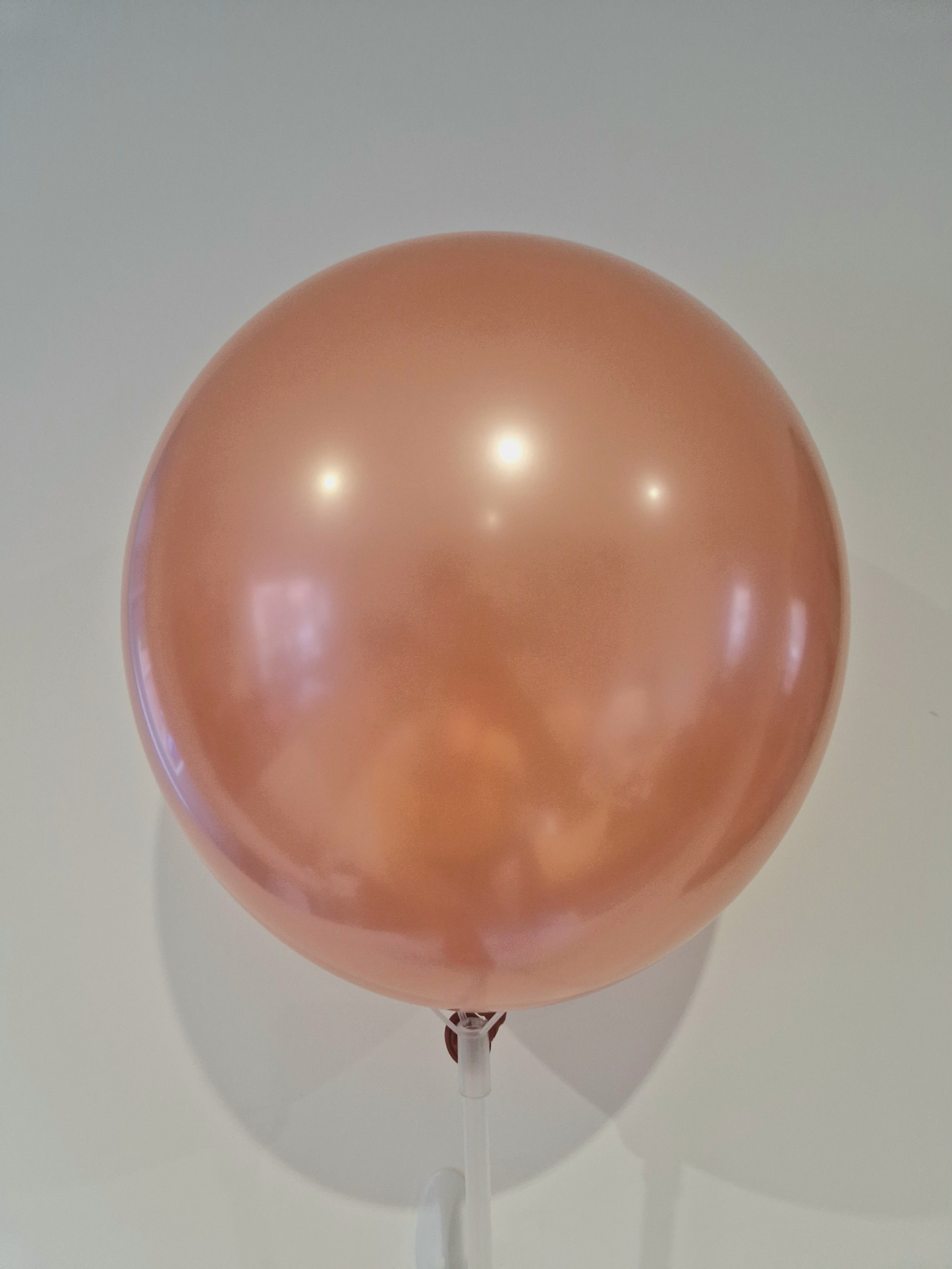 Services – Picture Perfect Parties